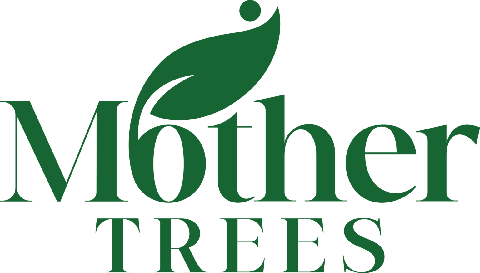 Mother Trees | Mother Tree Project | Life Tree System